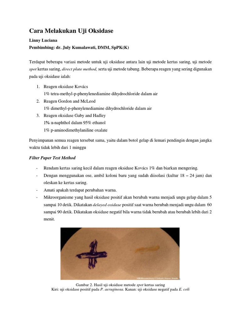Cara Melakukan Uji Oksidase Linny | PDF