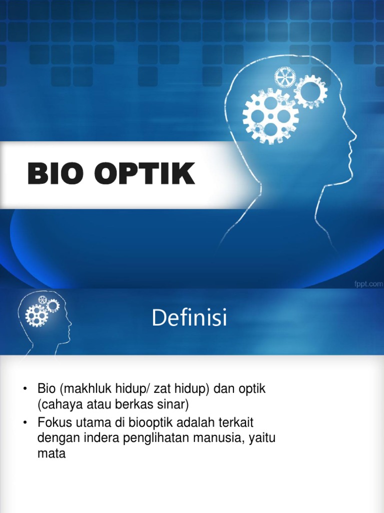Biooptik | PDF