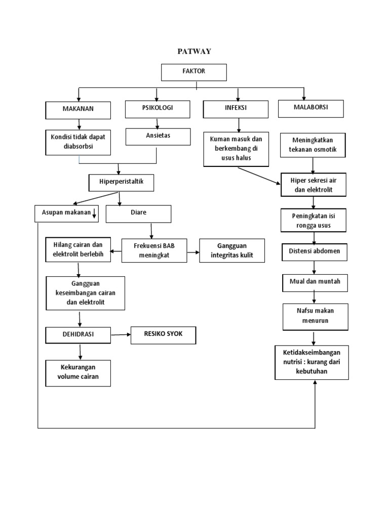 Patway Cairan Elektrolit | PDF