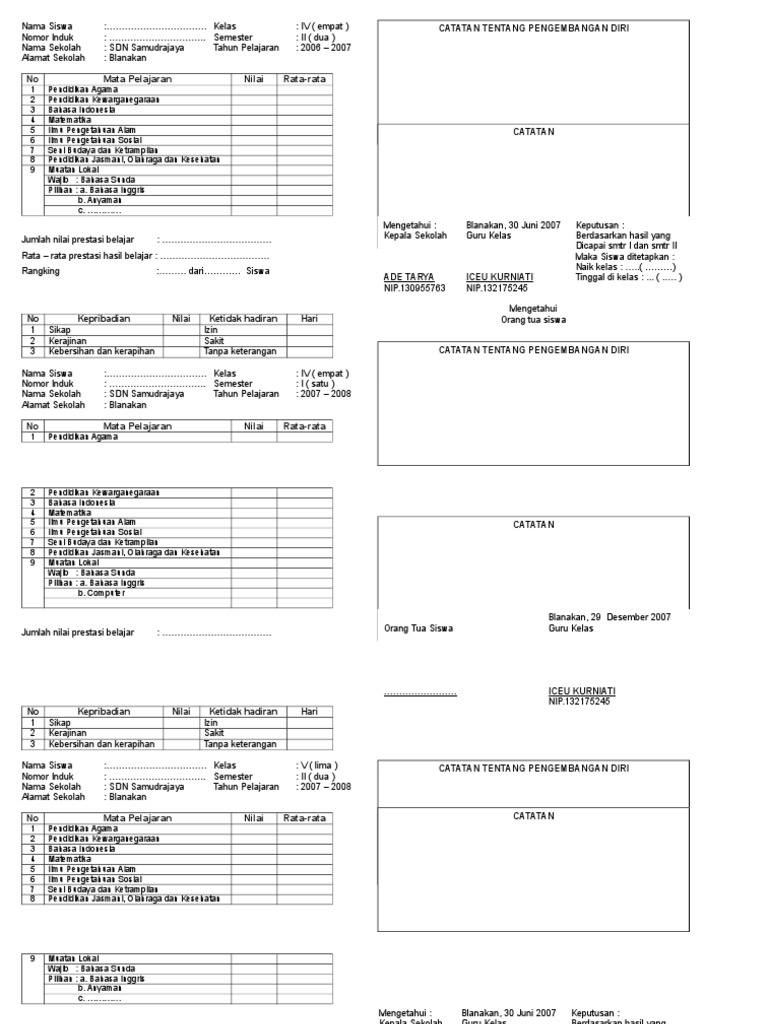 Format Raport Paket A | PDF