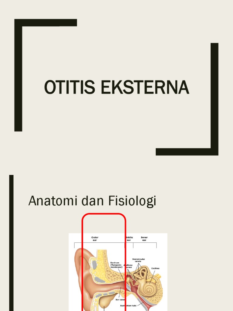 Otitis Eksterna | PDF