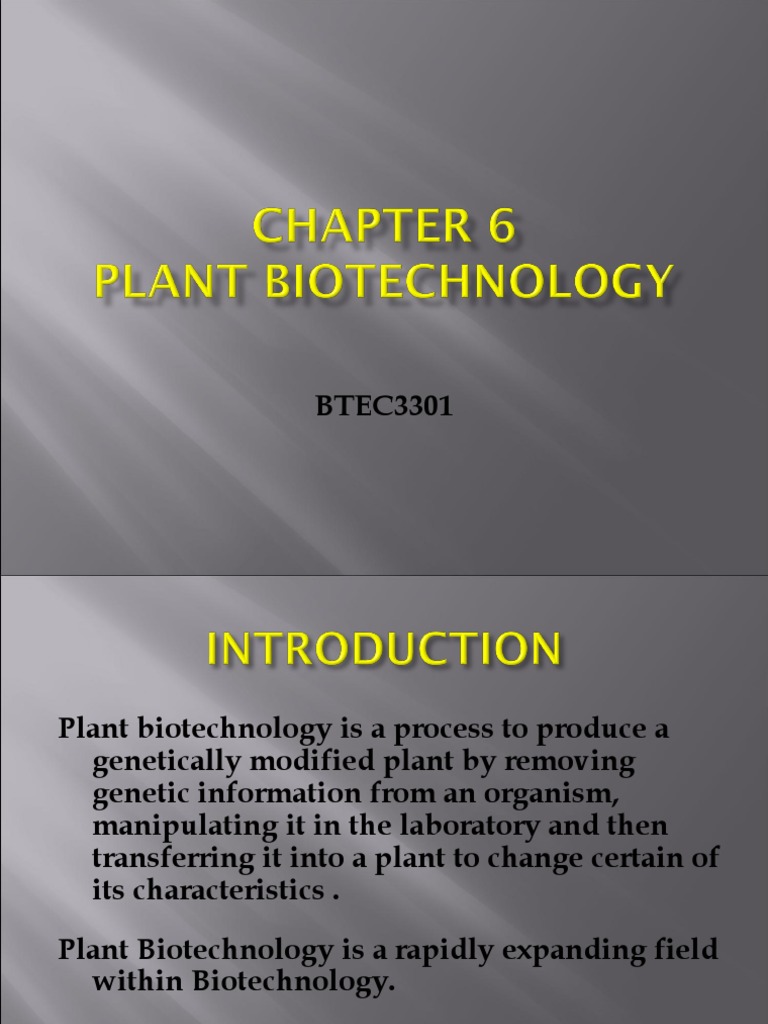 Chapter 6 Plant Biotechnology | PDF | Plant Breeding | Plasmid