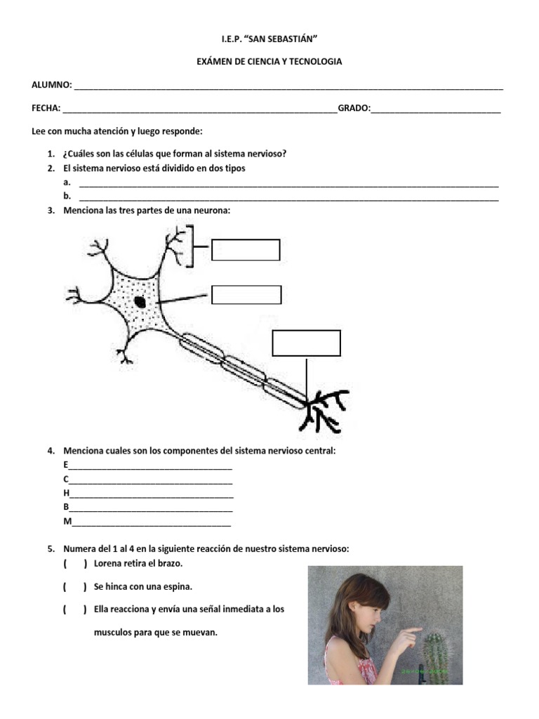 Examen CIENCIA Y TECNOLOGIA Junio | PDF