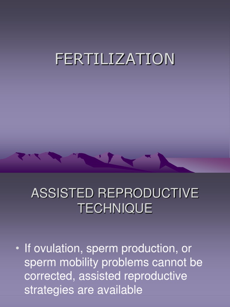 Assisted Fertilization Techniques Explained | PDF | Placenta ...