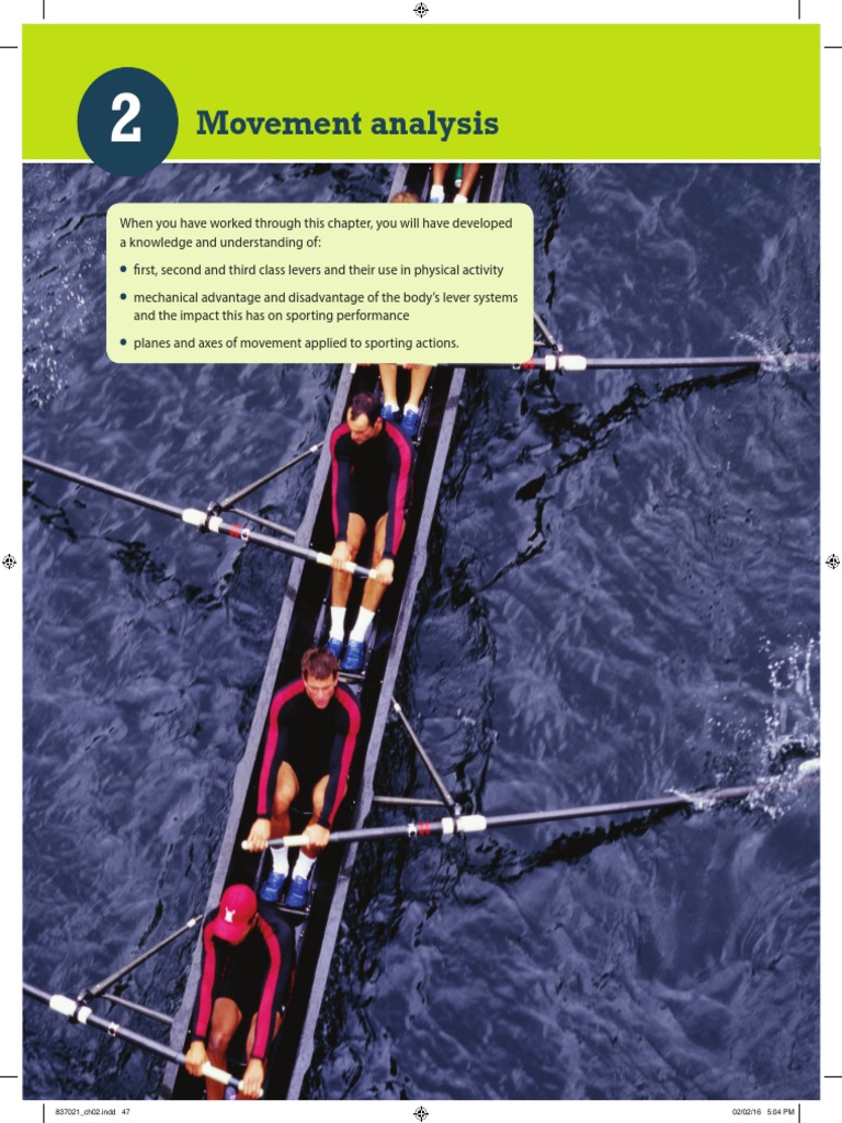 Chapter 2 Movement Analysis | PDF | Lever | Anatomical Terms Of Motion
