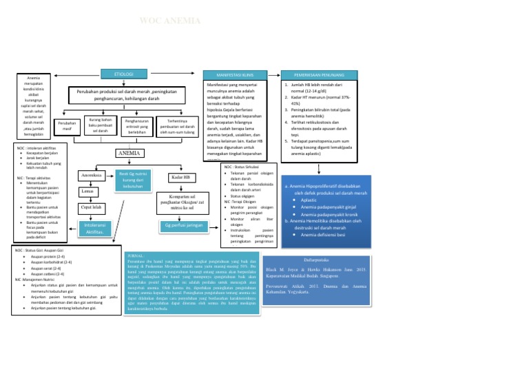 Woc Anemia | PDF