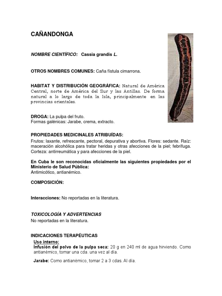 09 Cañandonga | PDF