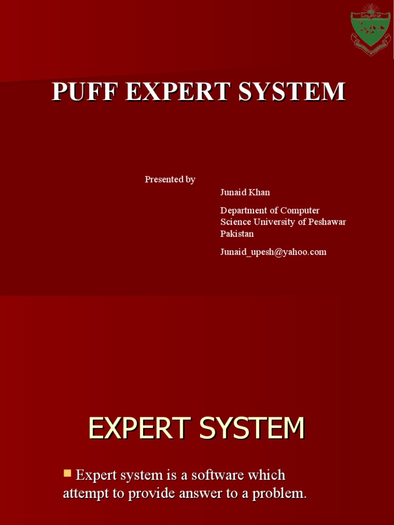 Puff Expert System | Download Free PDF | Lung | Respiratory Diseases