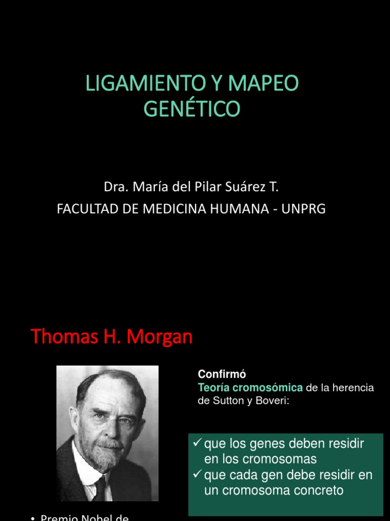Mapeo Genetico | Descargar gratis PDF | Enlace Genético | Polimorfismo de nucleótido simple