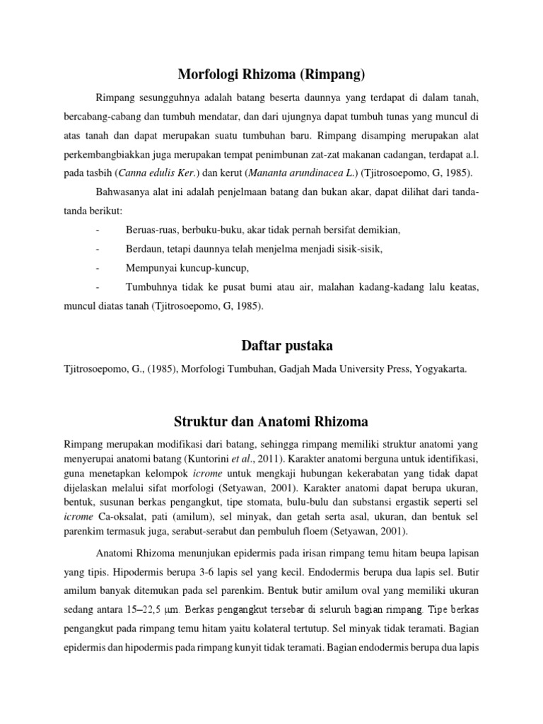 Morfologi, Struktur Dan Anatomi Rhizoma | PDF