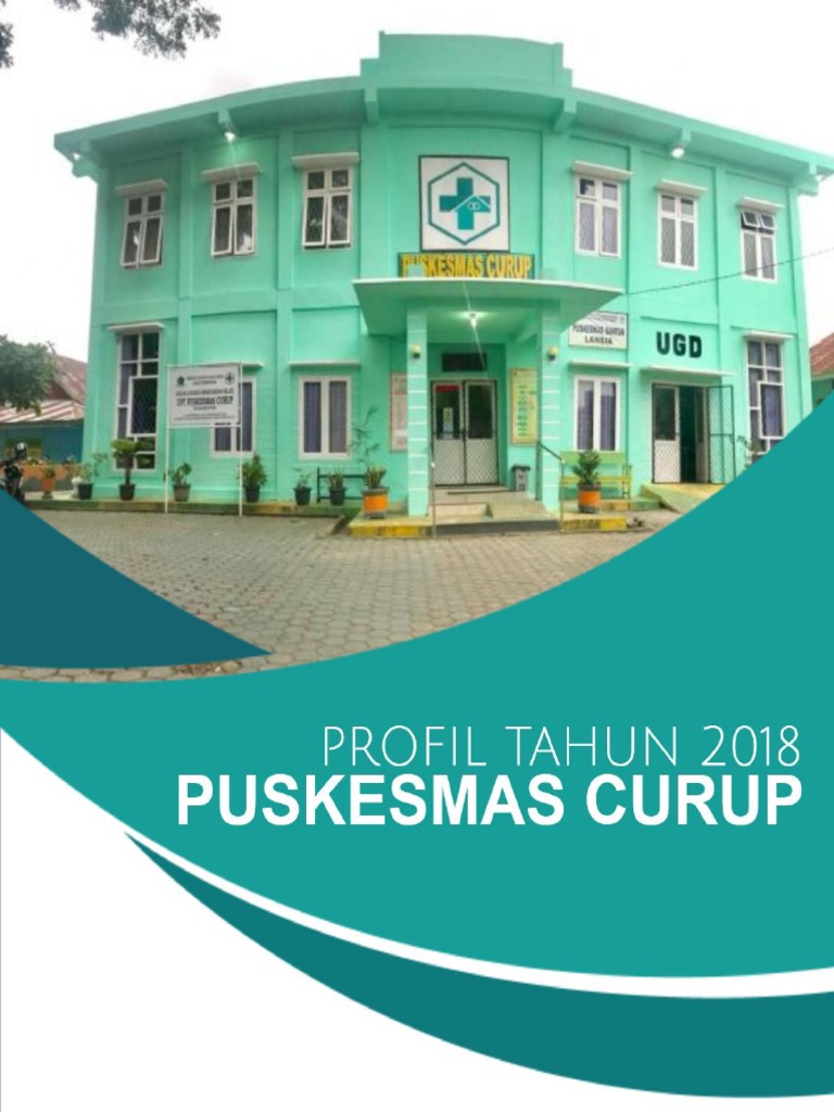 Profil Puskesmas Curup 2019 PDF | PDF