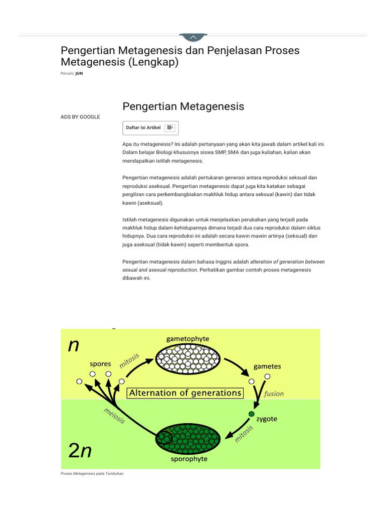 Pengertian Metagenesis Dan Penjelasan Proses Metagenesis (Lengkap) | PDF