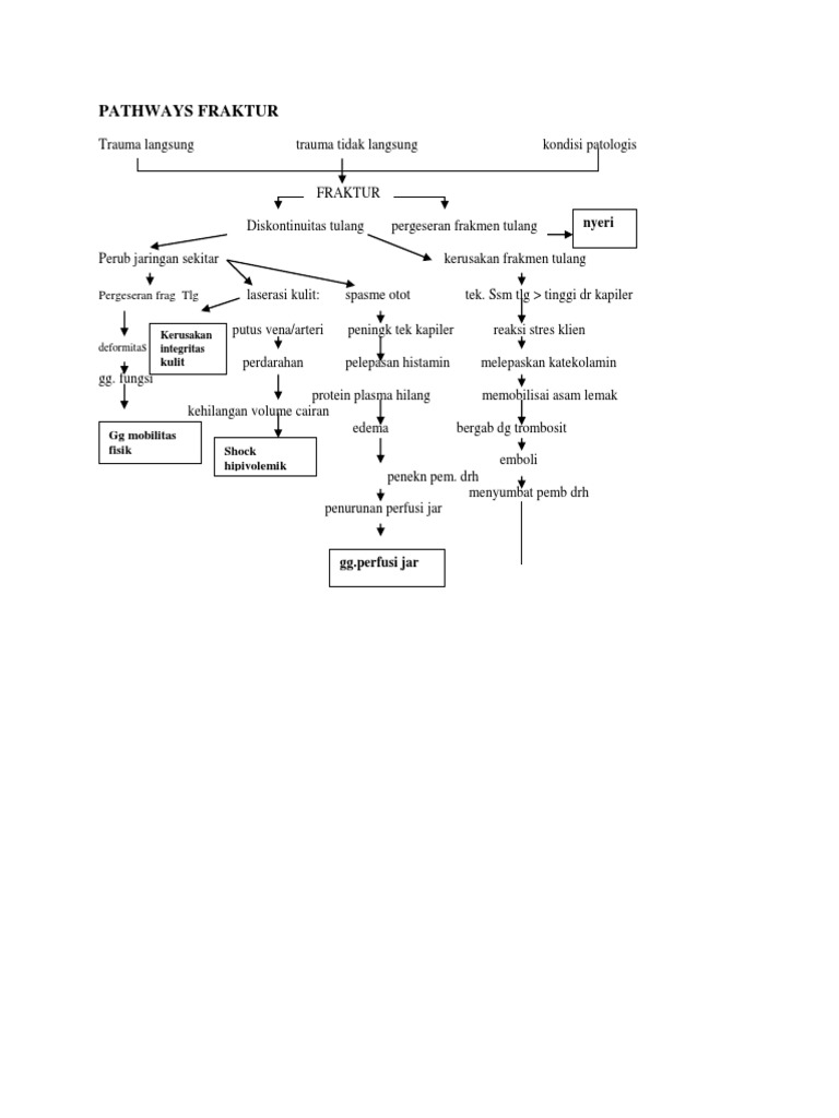 Pathways Fraktur | PDF