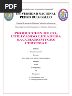 Lugol | PDF | Carbohidratos | Cromatografía