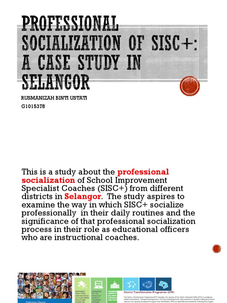 Professional Socialization of Sisc+ | PDF | Socialization | Expert