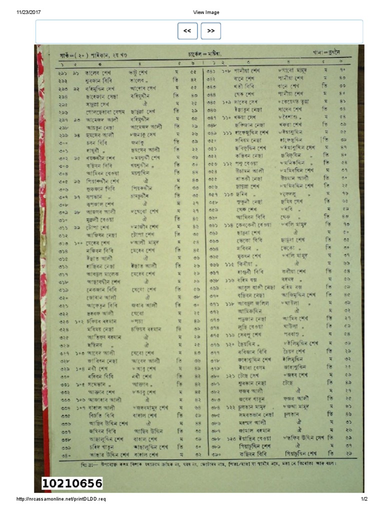 Instructions for Printing a Driving License Document in Assam, India | PDF