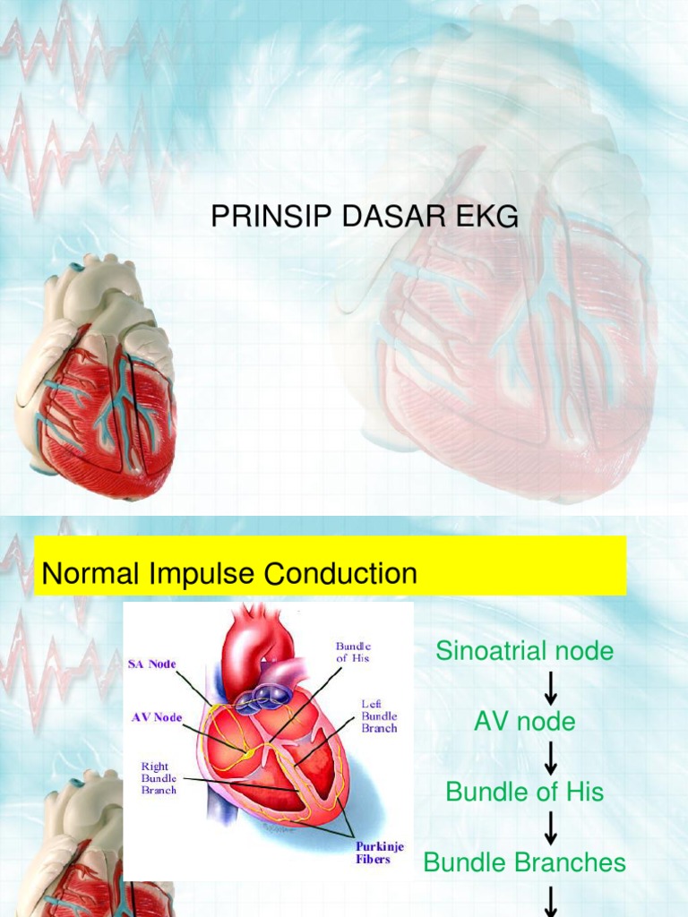 Prinsip Dasar Dan Interpretasi EKG | PDF | Electrocardiography ...