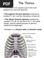 Costovertebral Angle Anatomy Overview | PDF | Vertebra | Vertebral Column