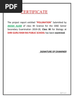 Pollination Class 12 Biology Project | PDF | Pollination | Pollinators