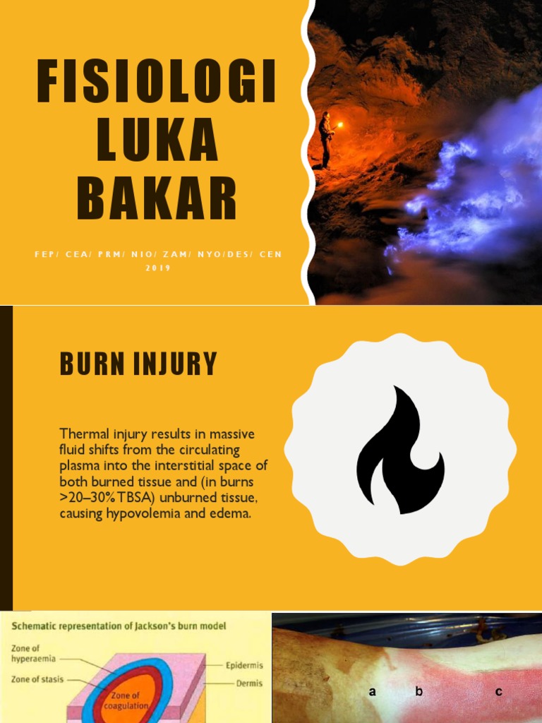 Burn Pathophysiology | PDF | Blood Vessel | Burn