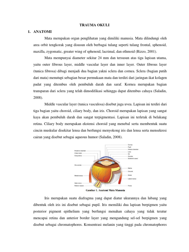 LP Trauma Okuli | PDF