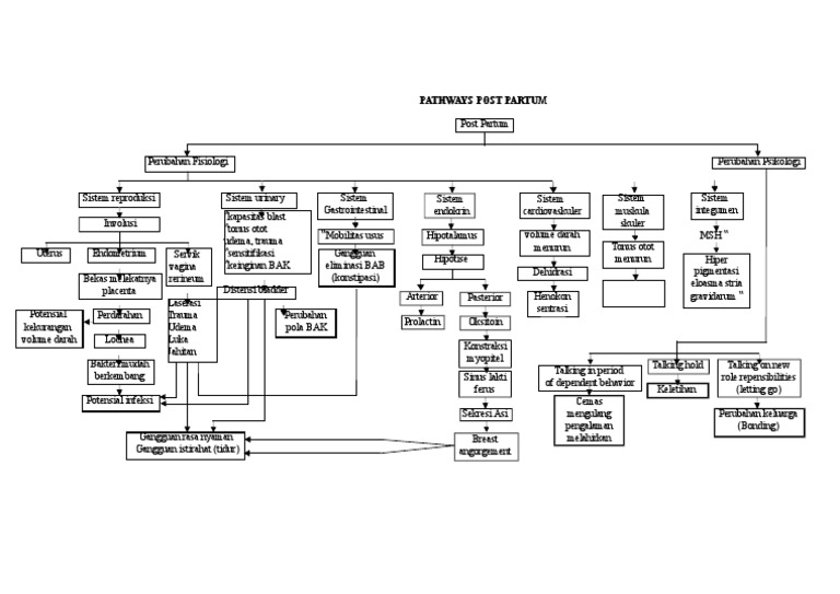 Pathway Perubahan Fisiologi Post Partum | PDF