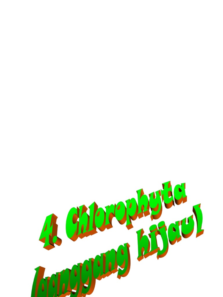 Clorophyta Presentasi | PDF | Chloroplast | Reproduction