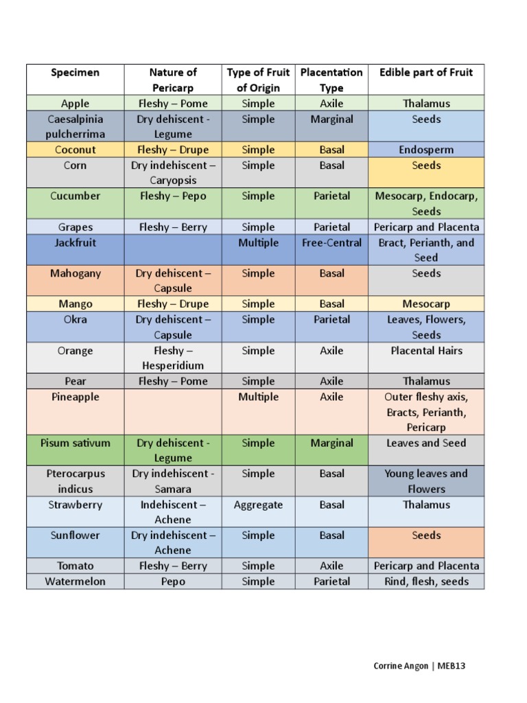 Fruit Types and Dispersal Methods Guide | PDF | Fruit | Horticulture ...