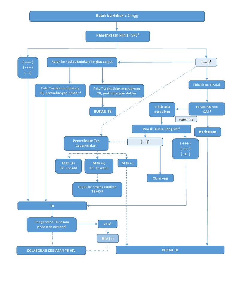 Alur Diagnosis Dan Tindak Lanjut TB Paru Pada Pasien Dewasa | PDF
