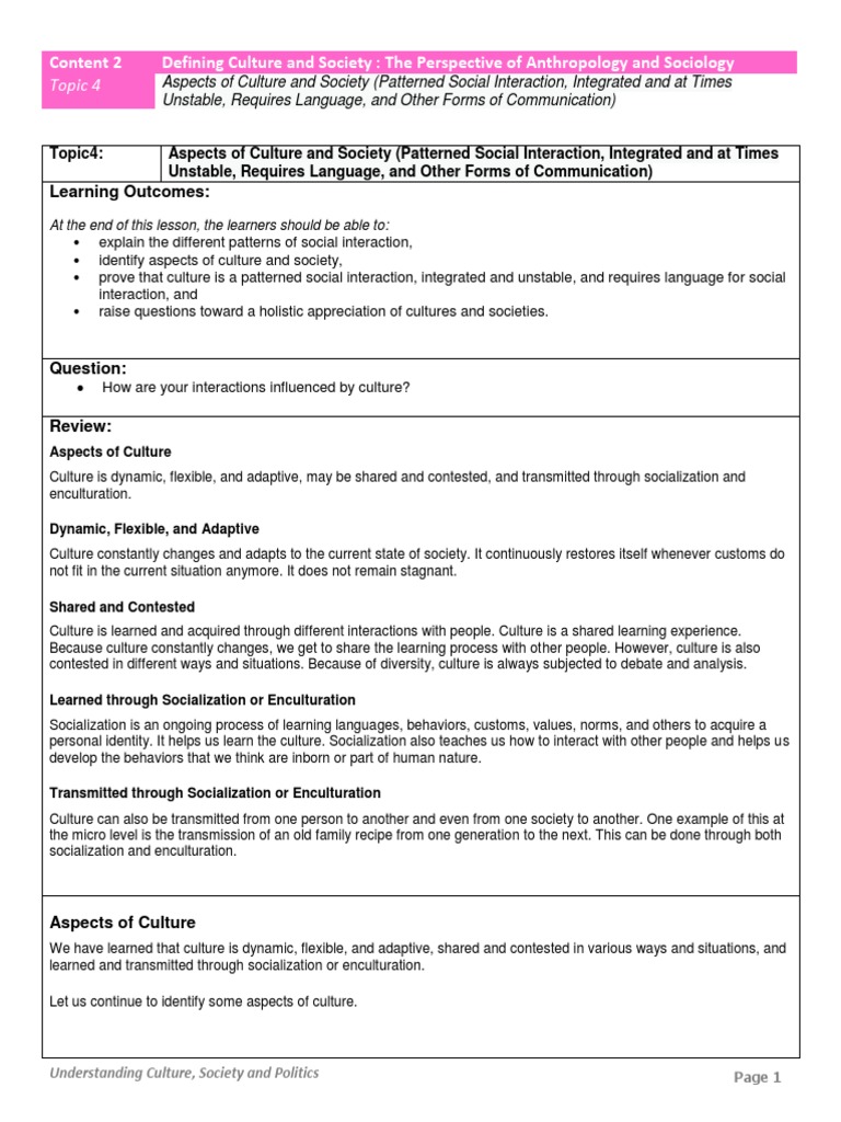 Topic 4 Patterned Social Interaction, Integrated and at Times Unstable ...