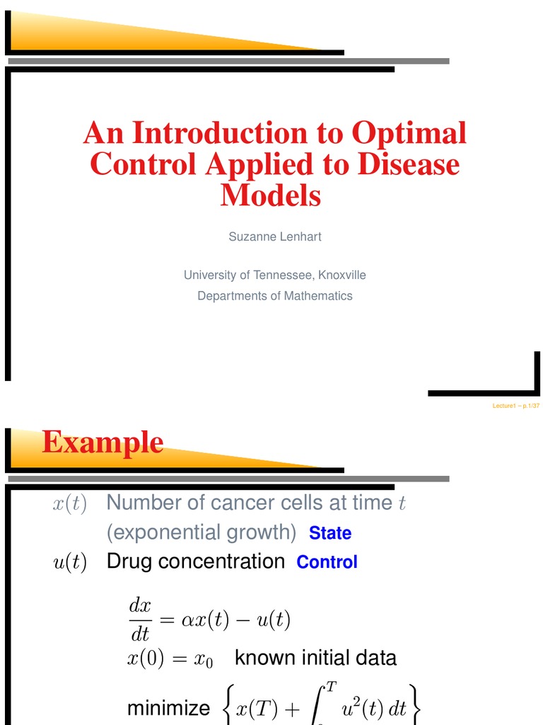 An Introduction To Optimal Control Applied To Disease Models | PDF ...