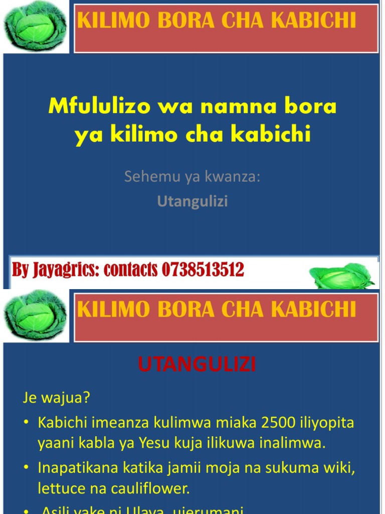 Kilimo Cha Kabichi | PDF