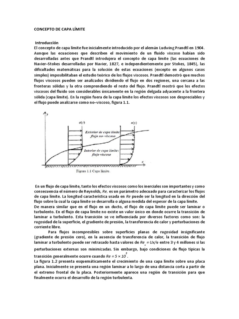 Concepto de Capa Límite-1 | PDF | Capa límite | Olas