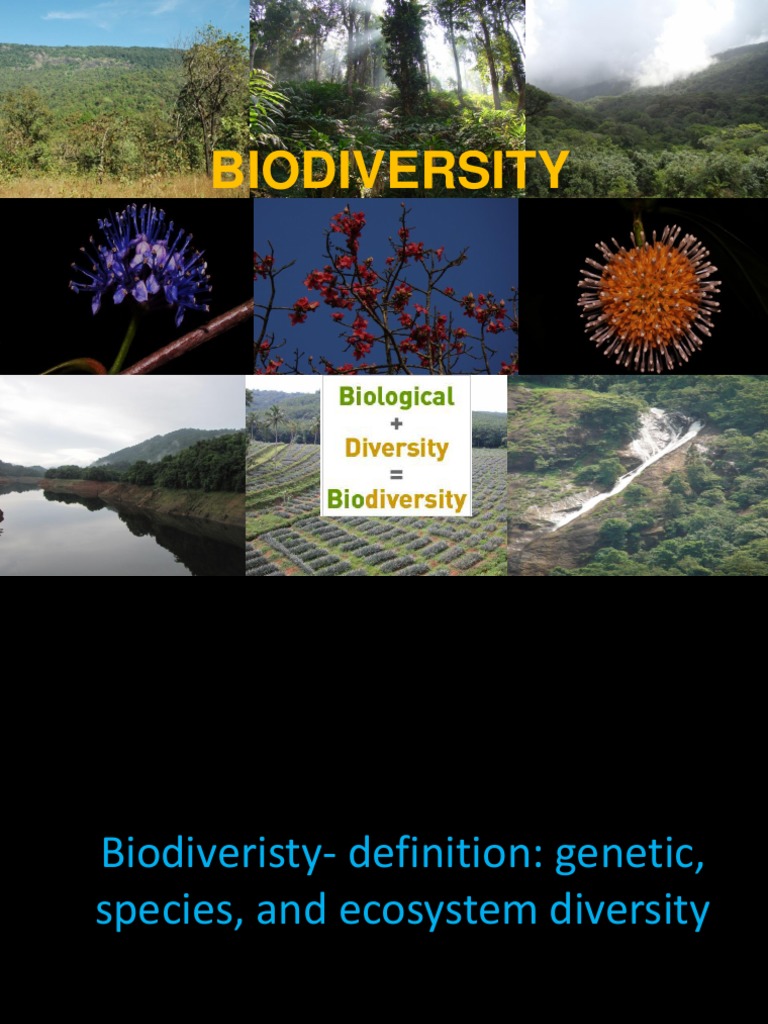 Biodiveristy 2 | PDF | Biodiversity | Conservation Biology