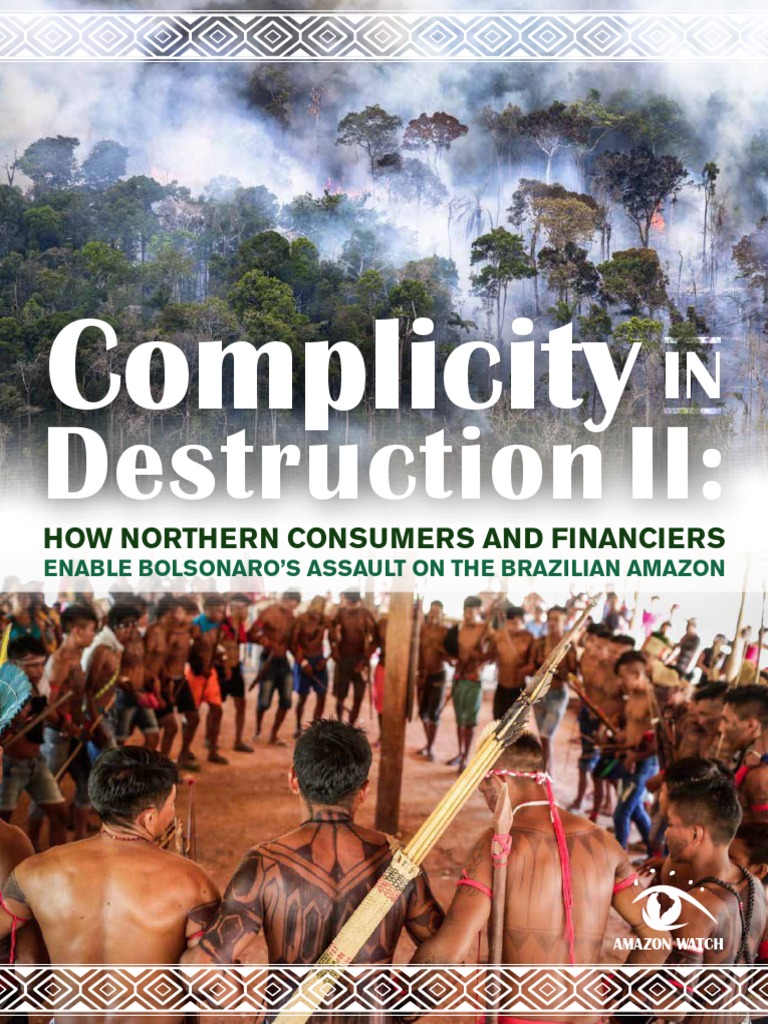 Complicity in Destruction 2 | PDF | Amazon Rainforest | Brazil