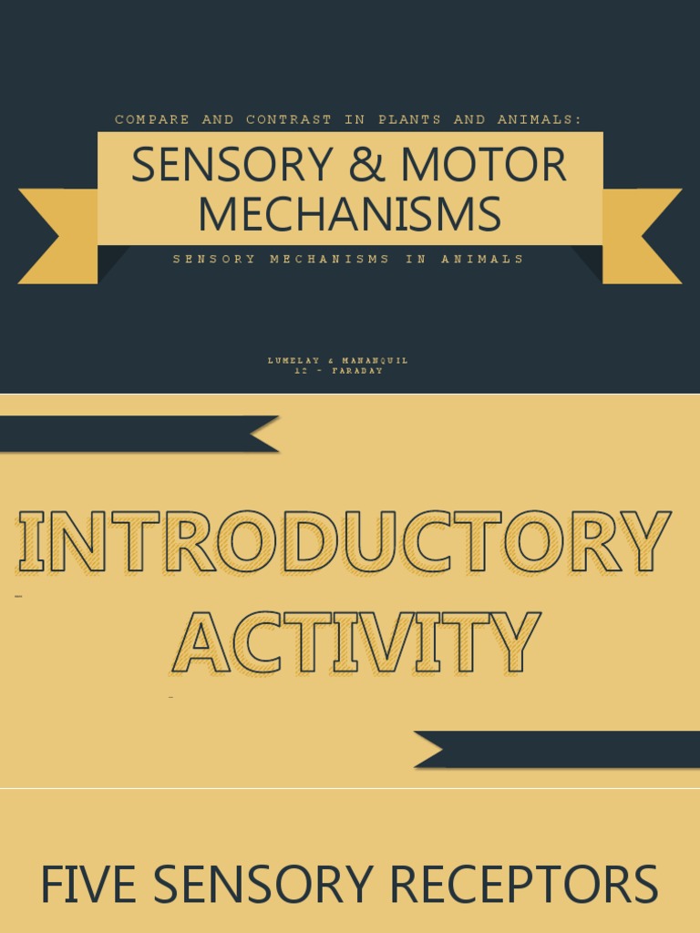 Sensory & Motor Mechanisms | Download Free PDF | Eye | Retina