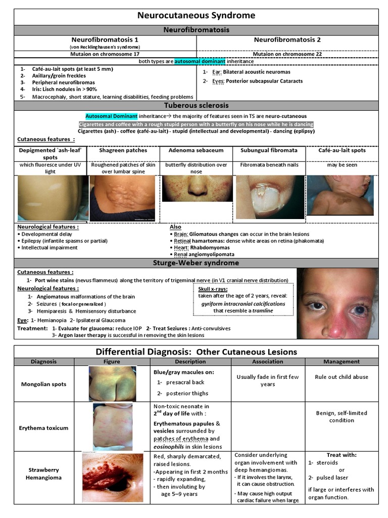 Neurology Notes | PDF | Human Diseases And Disorders | Neurology