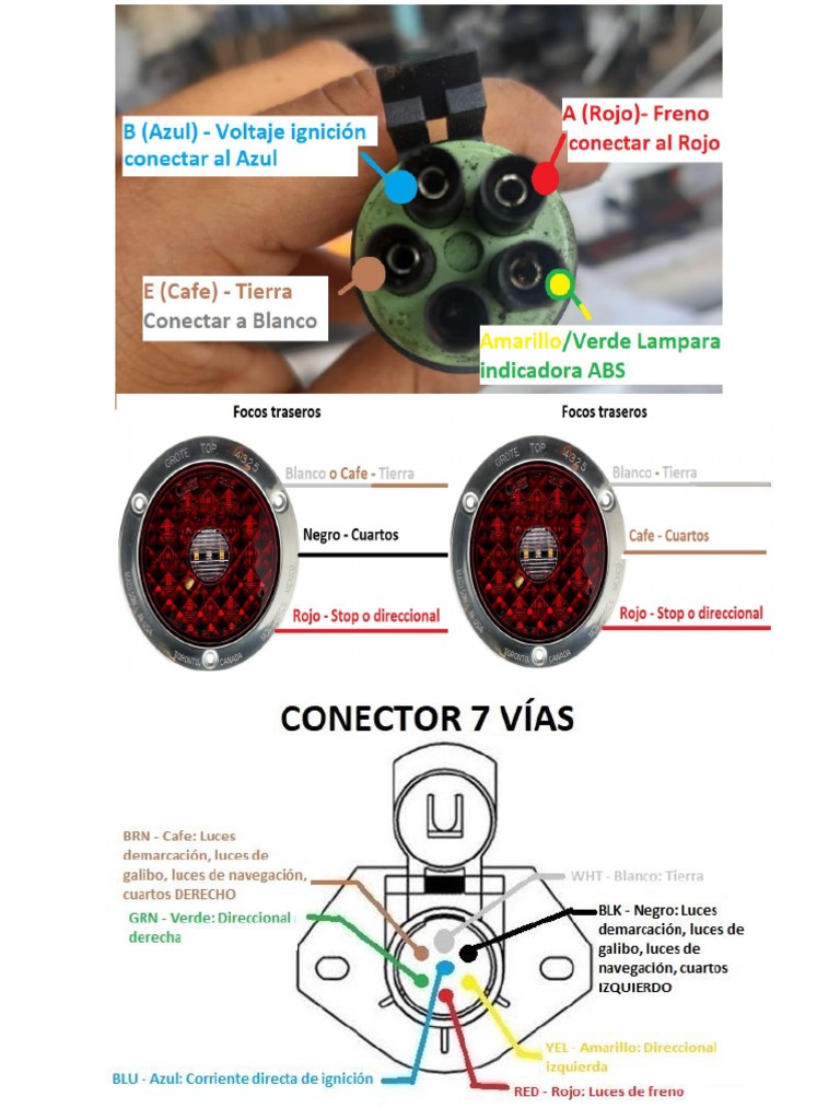 Diagrama Conector 7 Pines y ABS | PDF