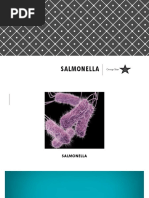 Overview of Salmonella and Salmonellosis | PDF | Salmonella | Microbiology