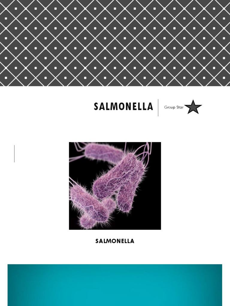 SALMONELLA | PDF | Salmonella | Clinical Pathology