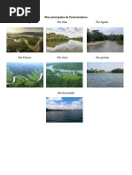 Ejemplos de Los Signos Naturales | PDF