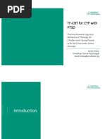 5Ps Formulation Worksheet | PDF