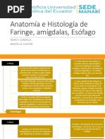 Foramen Ciático Mayor y Menor | PDF | Historia