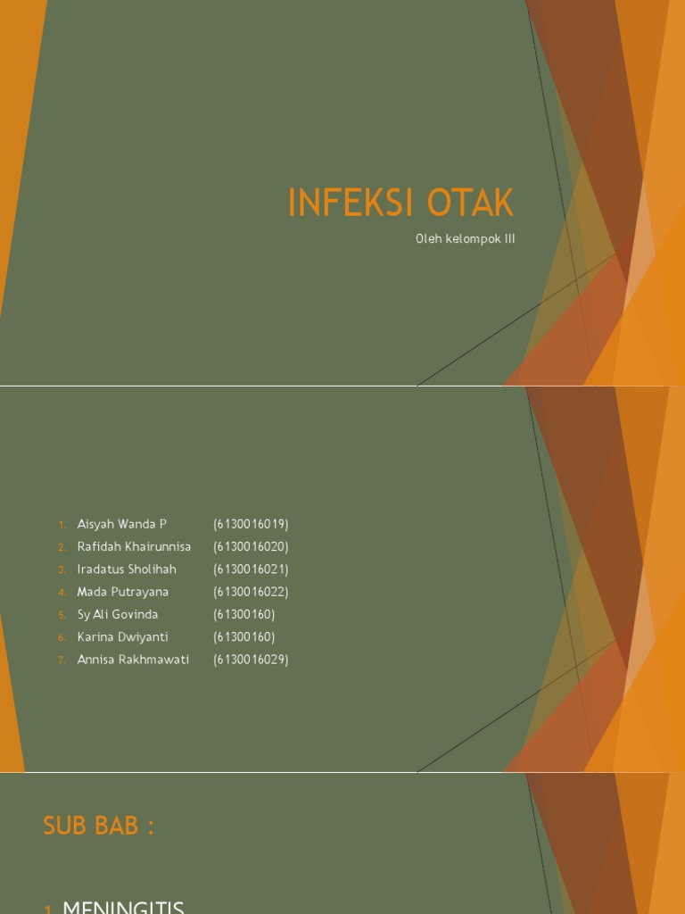 Infeksi Pada Otak | PDF