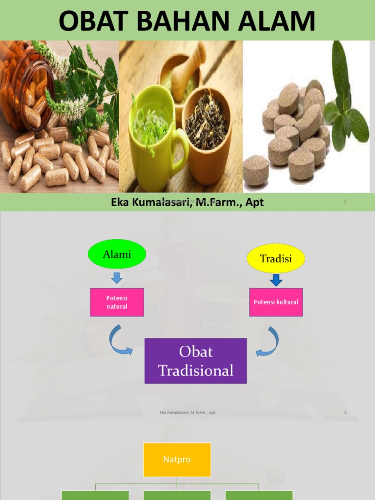 Obat Herbal PDF | PDF