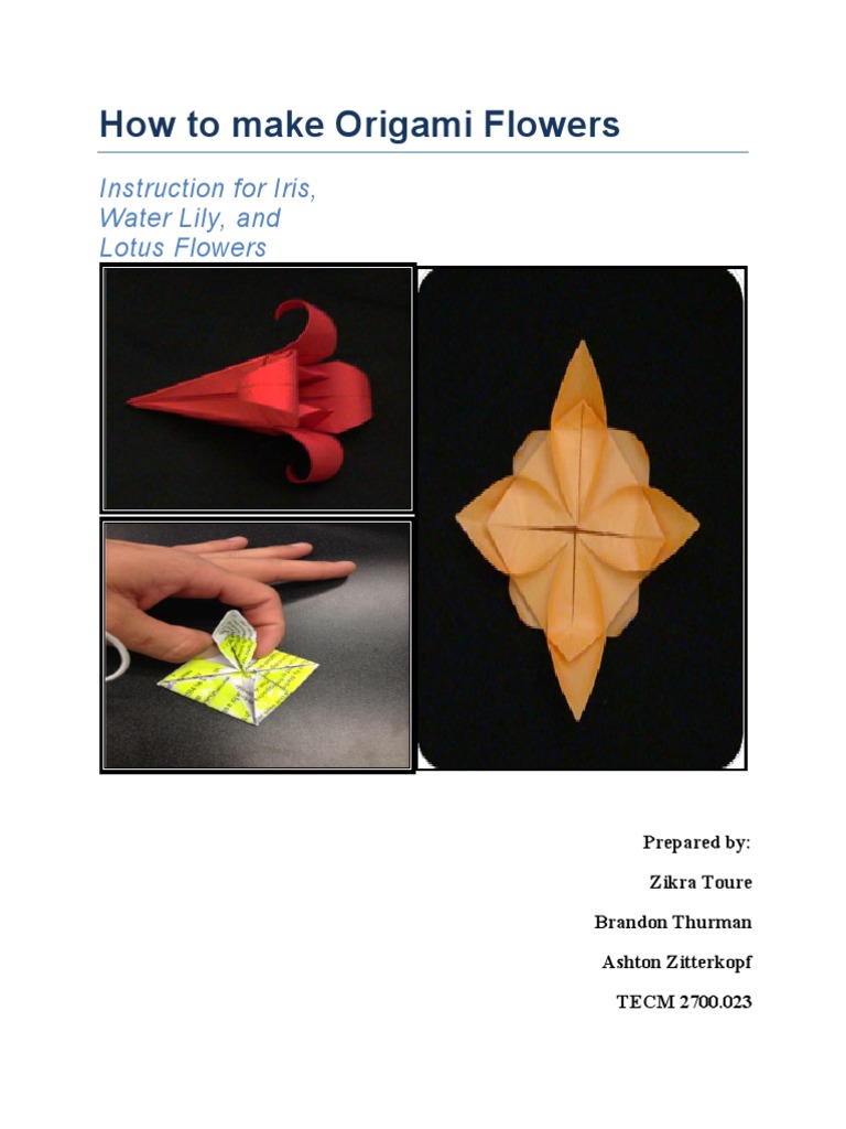 Origami Iris Instructions Pdf
