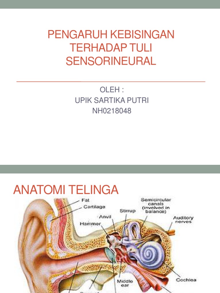 Tuli Sensorineural | PDF