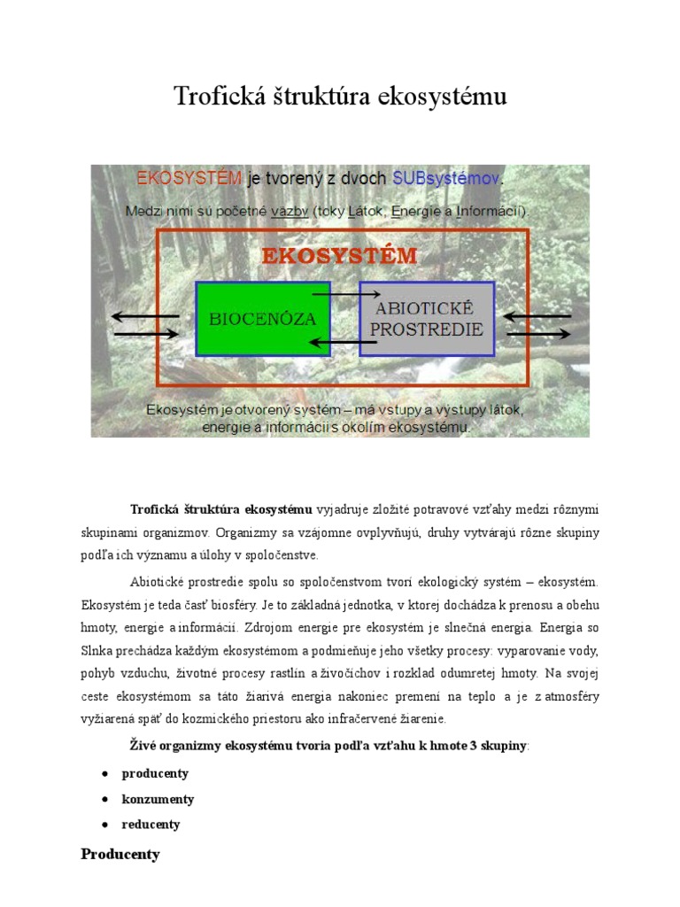 Troficka | PDF