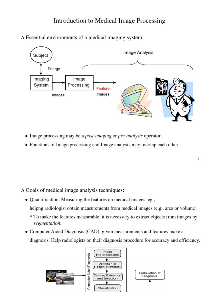 Medical Image Processing Pdf Image Segmentation Digital Image