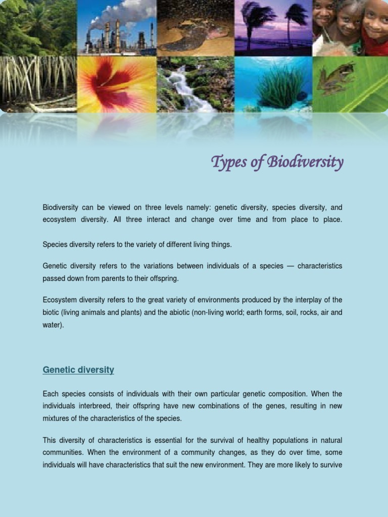 Types of Biodiversity PDF | Download Free PDF | Genetic Diversity ...